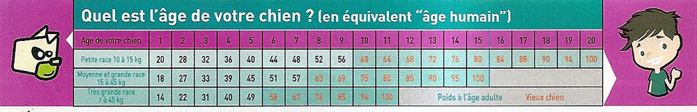Calculer l’âge de votre chien – Educateur canin Seine et Marne ...